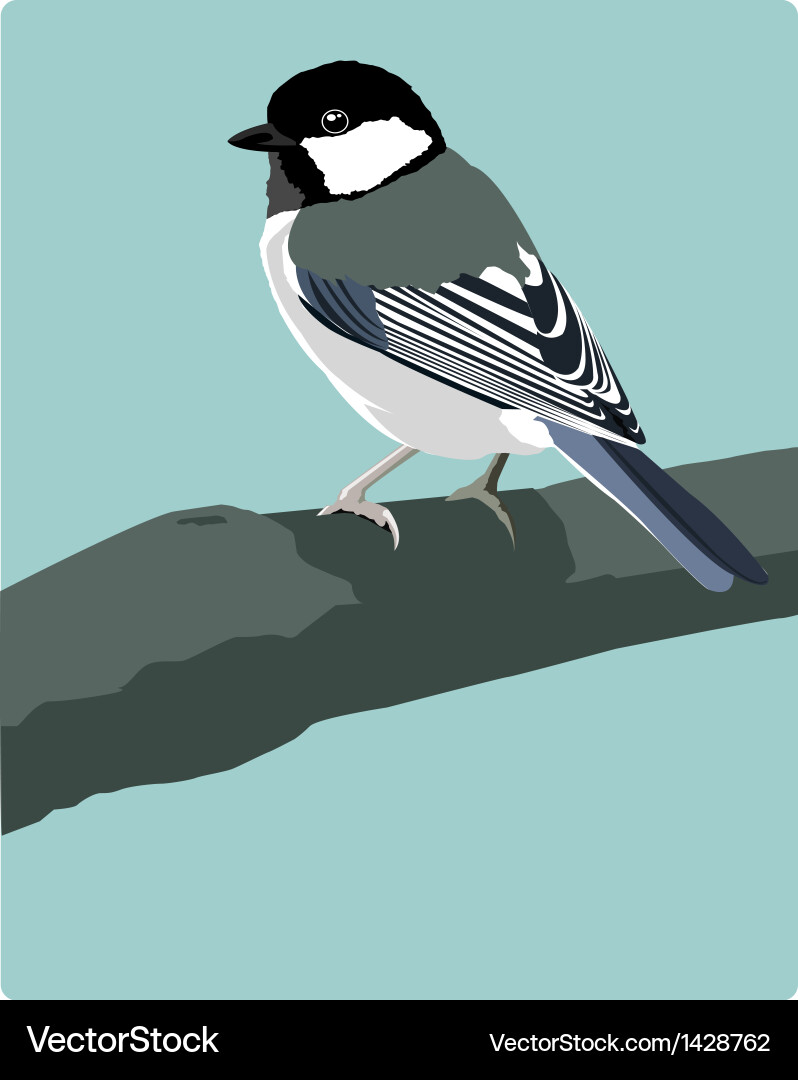 Bird Royalty Free Vector Image - VectorStock
