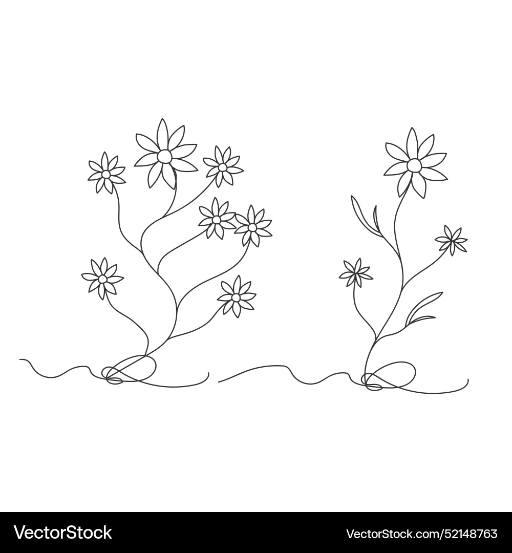 Beautiful flower one line continuous drawing Vector Image