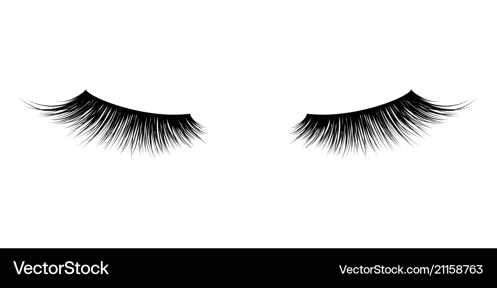 Eyelash Icons - False Lashes Royalty Free Vector Image