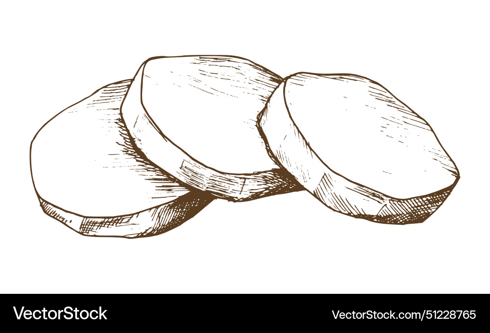 Peeled white potatoes cut into round slices and Vector Image