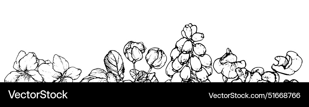 Spring flowers drawing with line-art on white Vector Image
