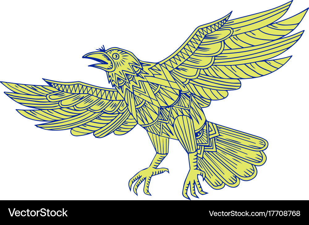 Common raven flying mandala Royalty Free Vector Image
