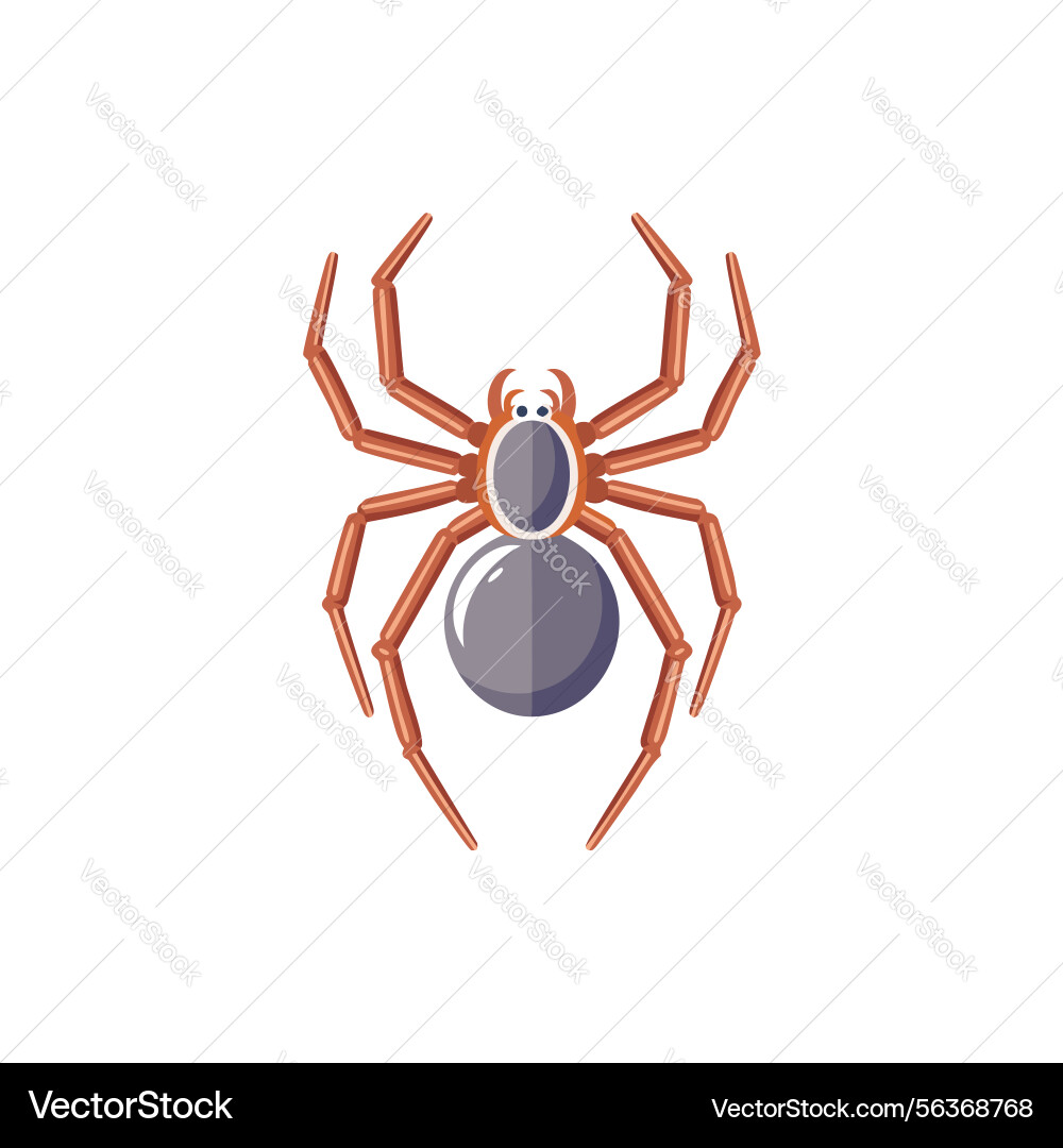 Cute cartoon spider Royalty Free Vector Image - VectorStock