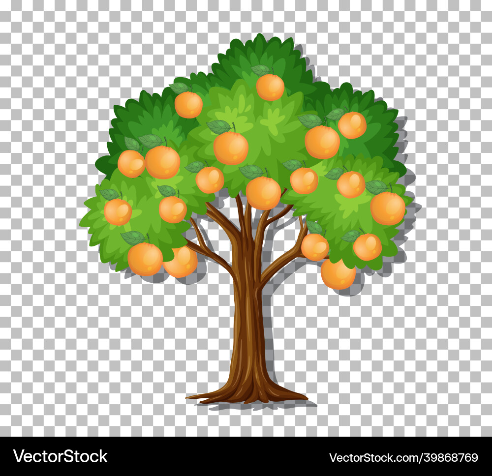 Orange tree on transparent background Royalty Free Vector