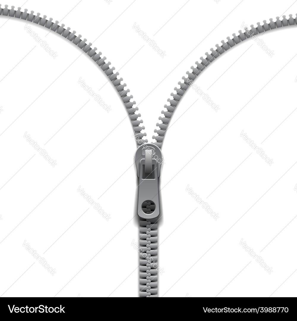 Isolated Zipper Detail Royalty Free Vector Image