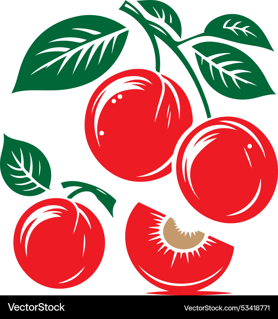 Icon set of peach Royalty Free Vector Image - VectorStock