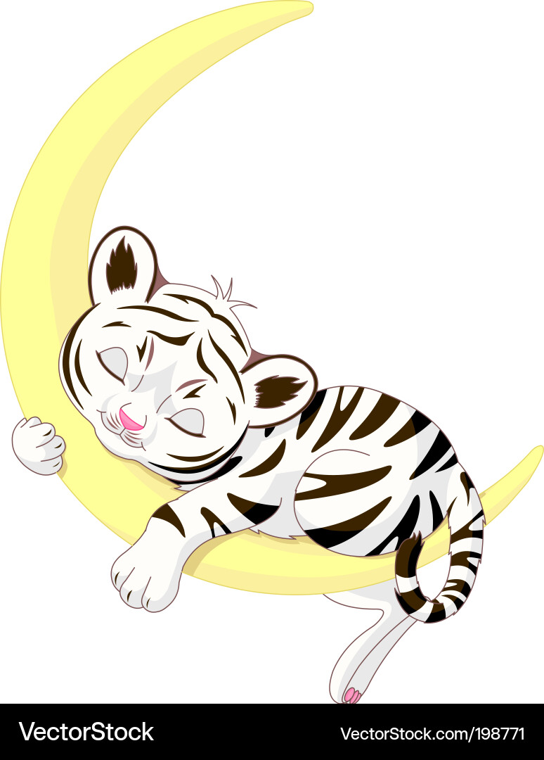 Tiger cub Royalty Free Vector Image - VectorStock