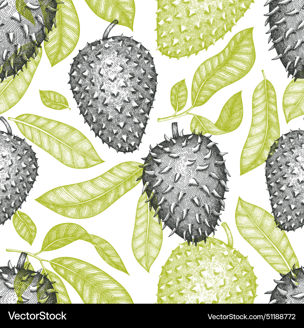 Hand drawn sketch style soursop fruit seamless Vector Image