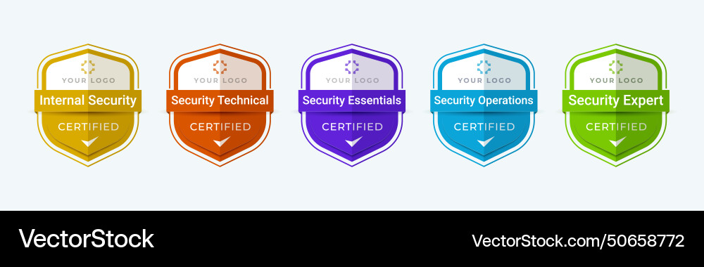 Security certification badge best professional Vector Image