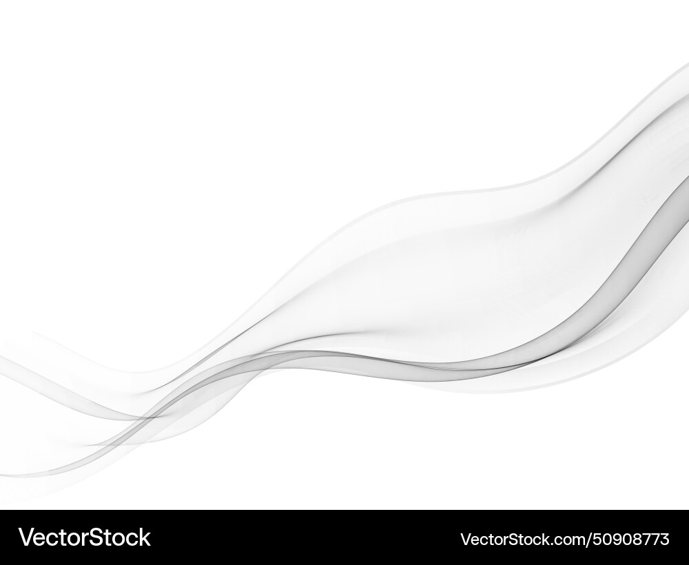 Abstract background transparent wavy lines Vector Image