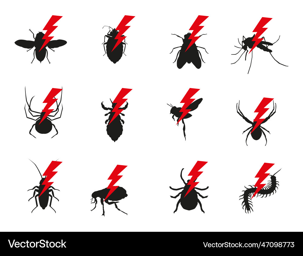 Advertisement for insecticides a set of insects Vector Image