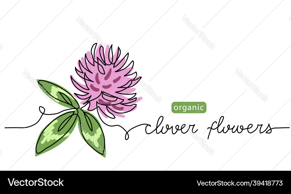 Clover flower one line art drawing simple Vector Image