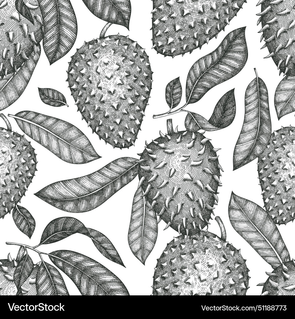 Hand drawn sketch style soursop fruit seamless Vector Image