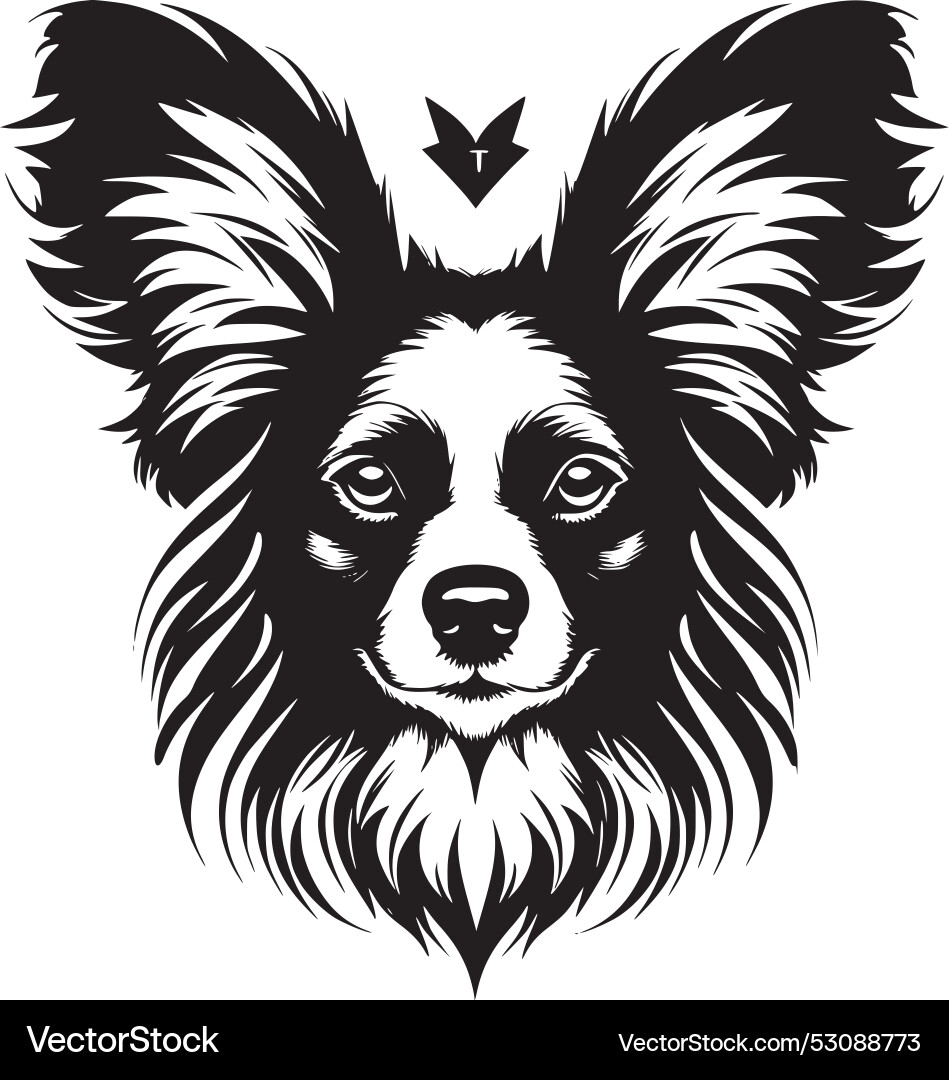 Papillon dog - black and white Royalty Free Vector Image