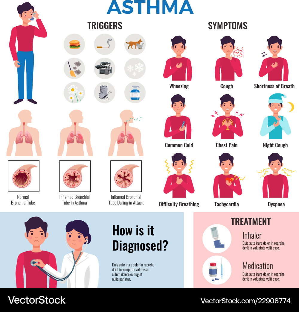 Asthma infographic elements set Royalty Free Vector Image