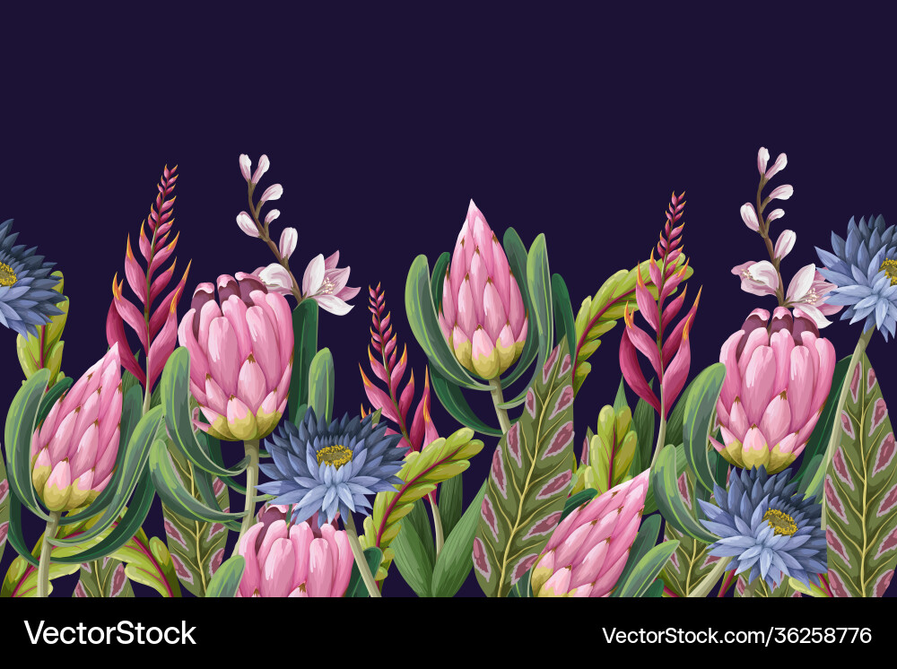 Border with proteas flowers trendy floral Vector Image