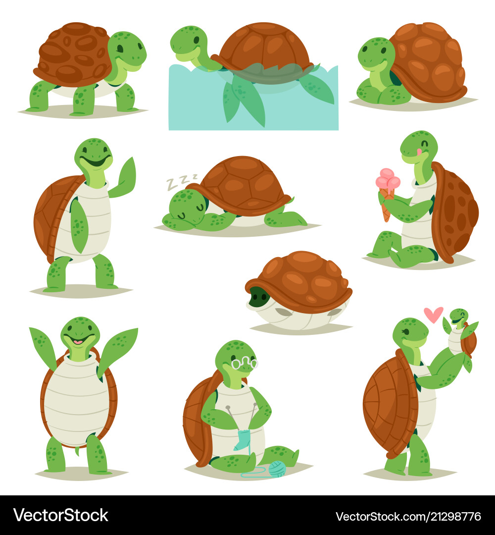Turtle cartoon seaturtle character swimming Vector Image
