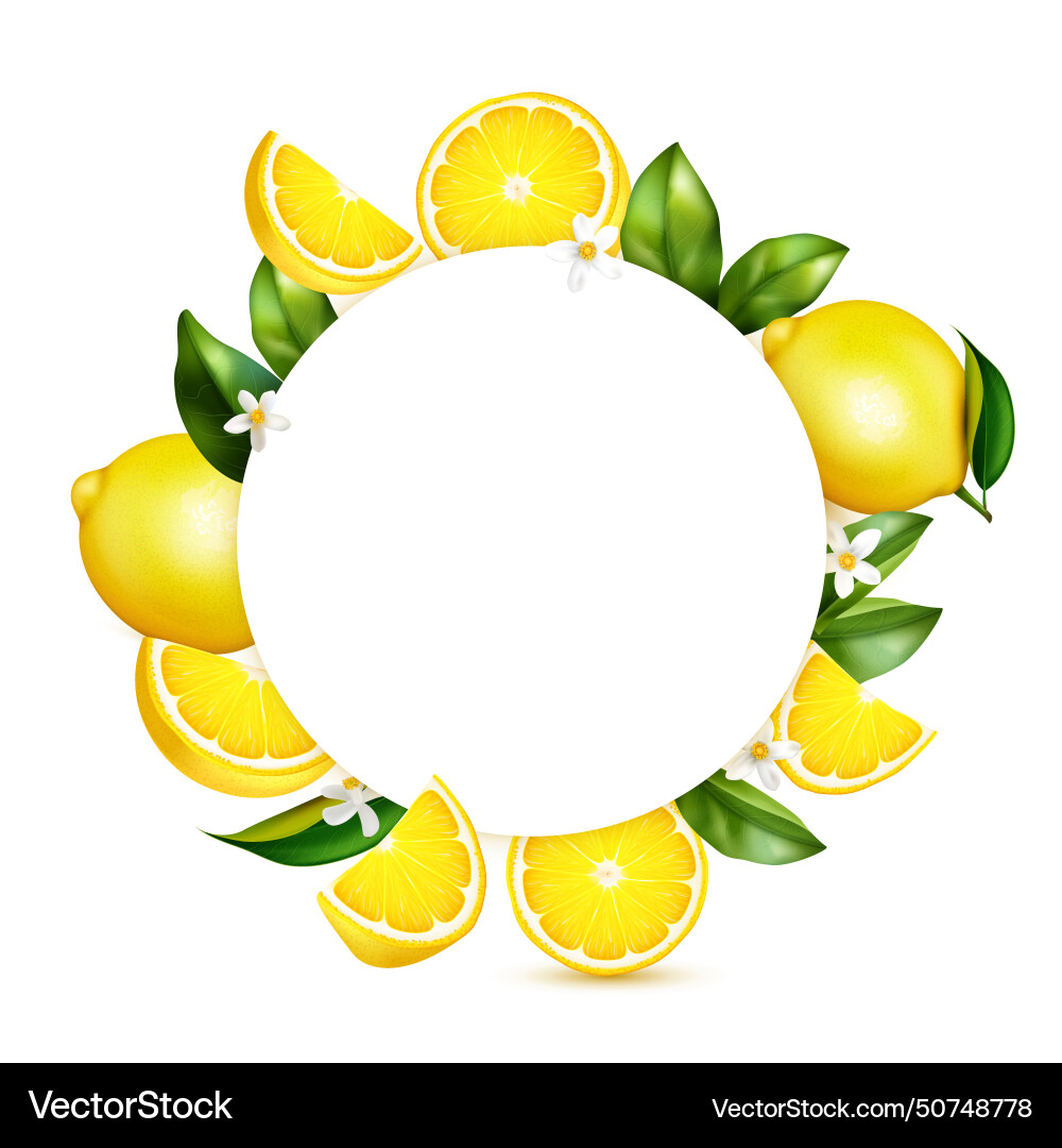 Citrus lemon realistic frame Royalty Free Vector Image