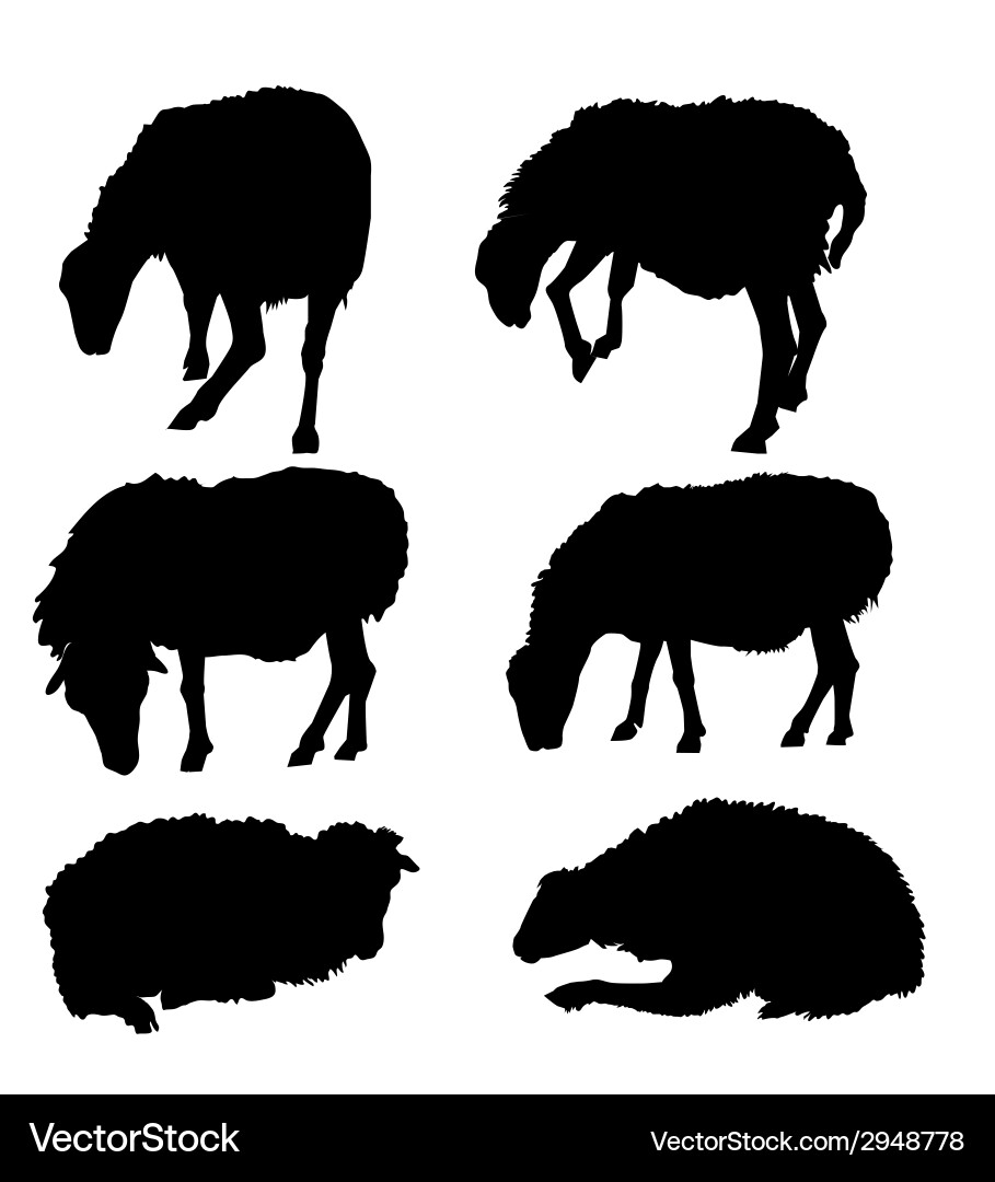 Sheep Royalty Free Vector Image - VectorStock