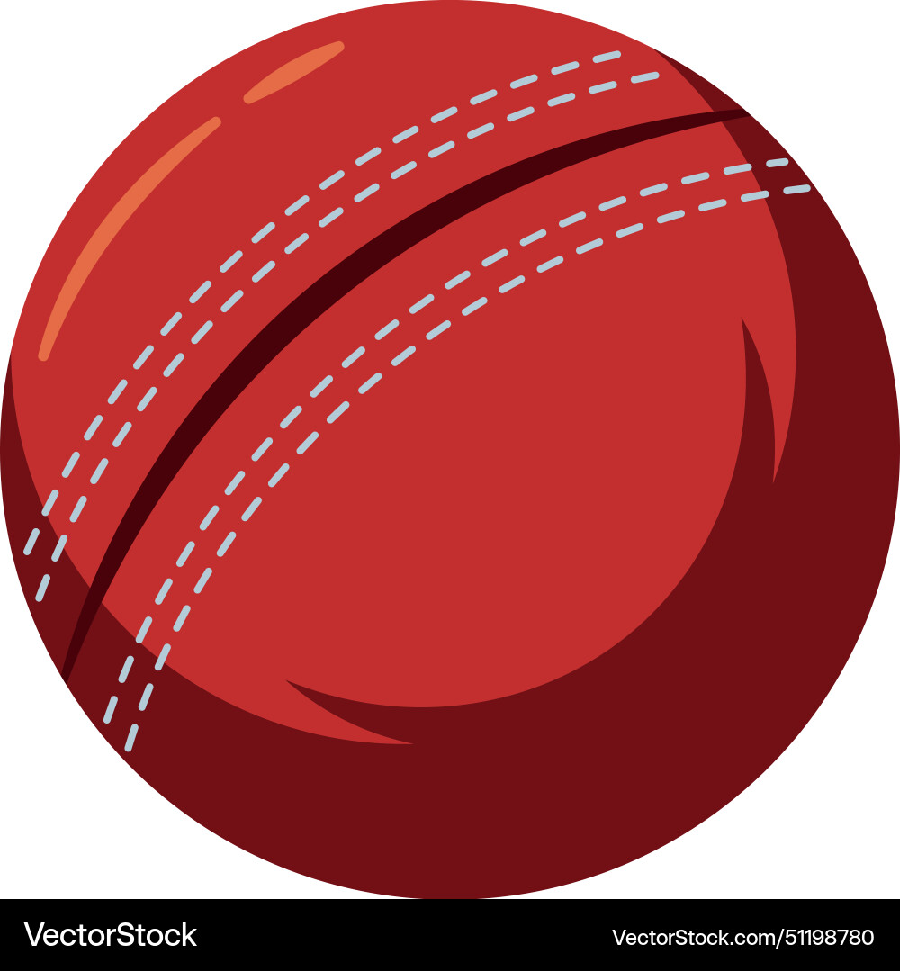 Cricket ball equipment Royalty Free Vector Image