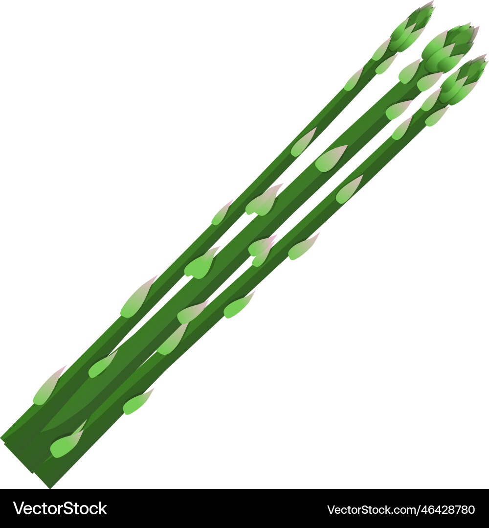 Green asparagus icon Royalty Free Vector Image