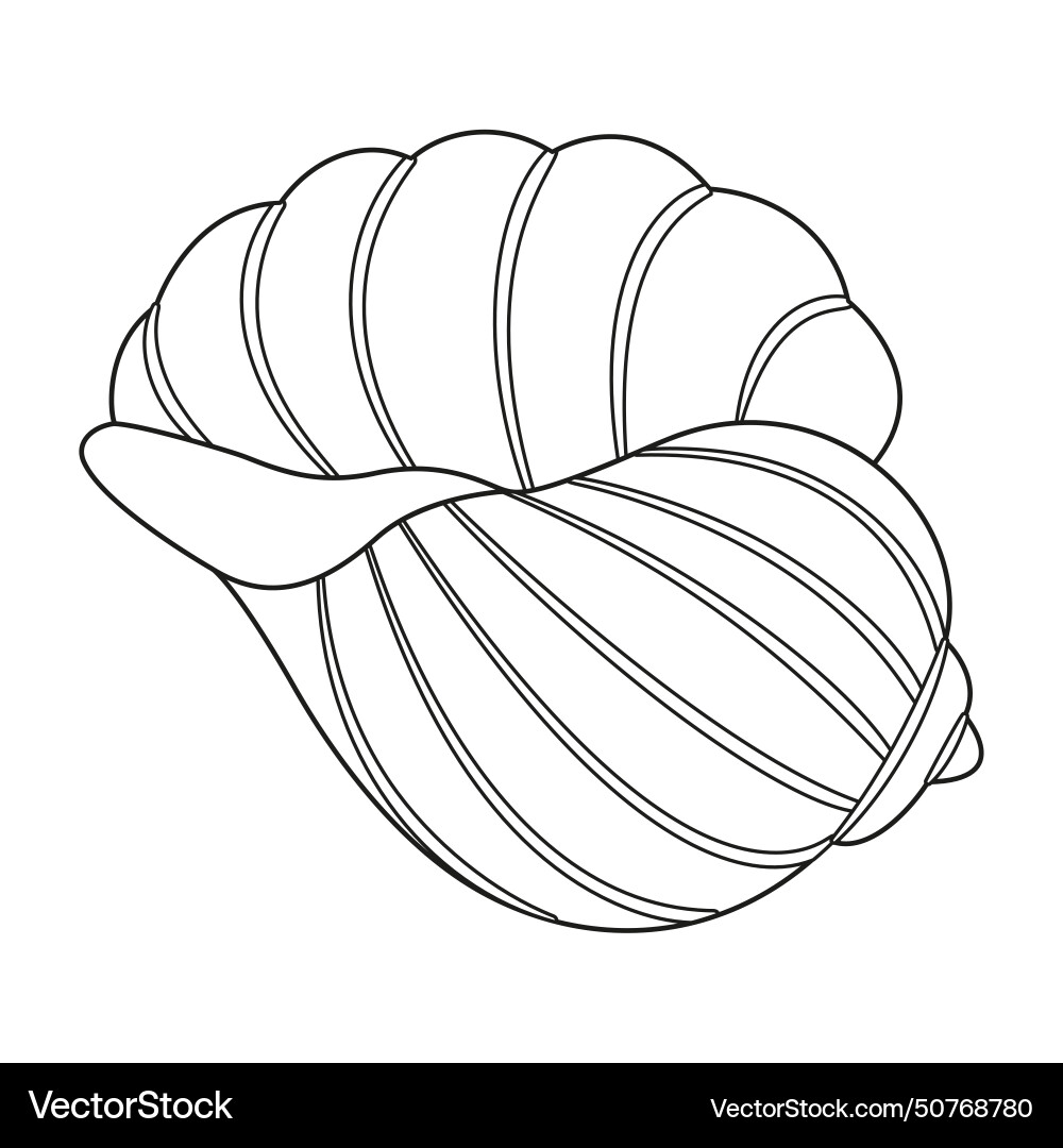 Seashell black and white outline art therapy Vector Image