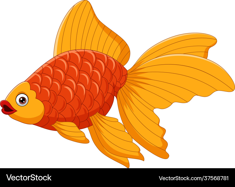 Cartoon cute goldfish on a white background Vector Image