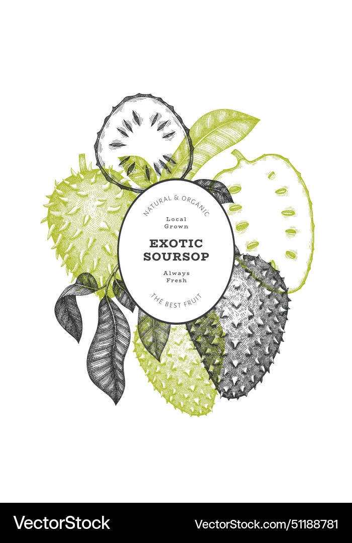 Hand drawn sketch style soursop fruit banner Vector Image