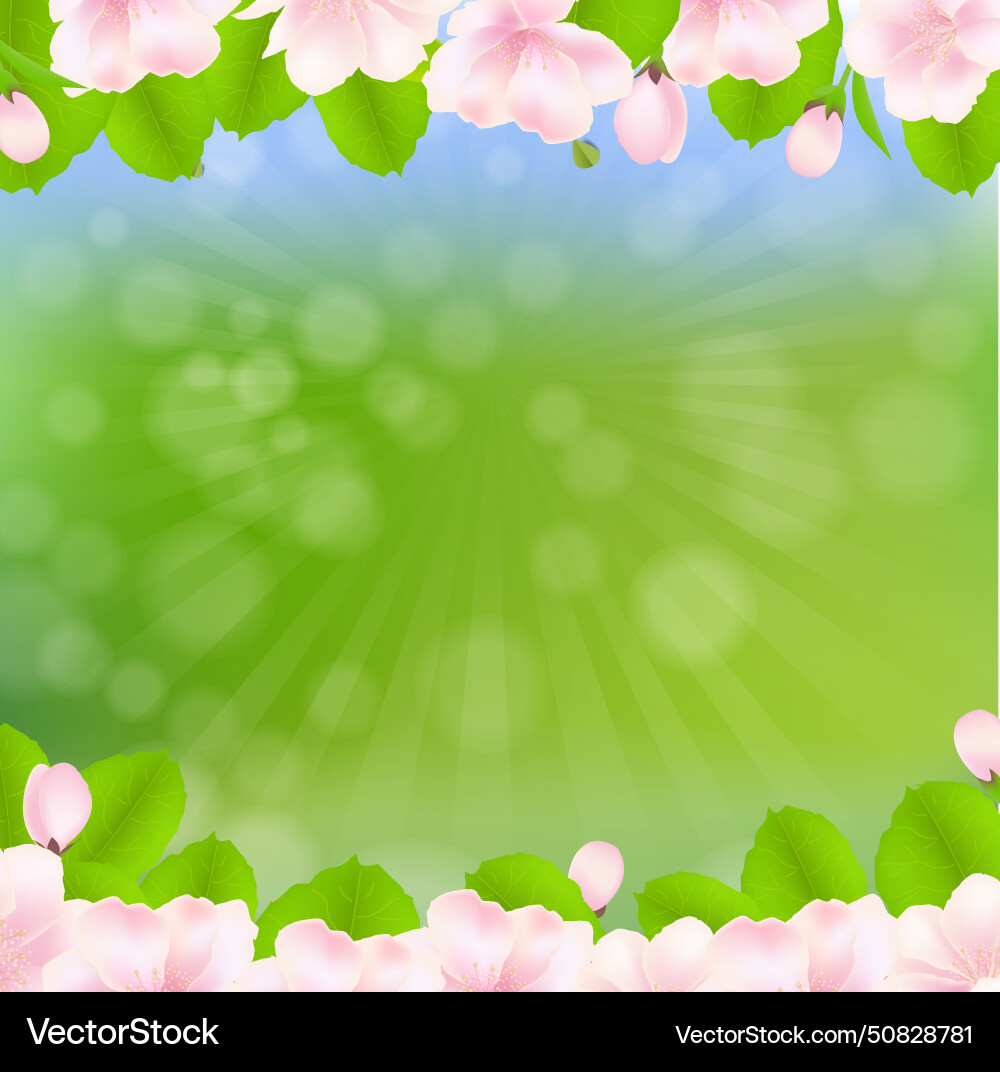 Hello spring text isolated white background Vector Image