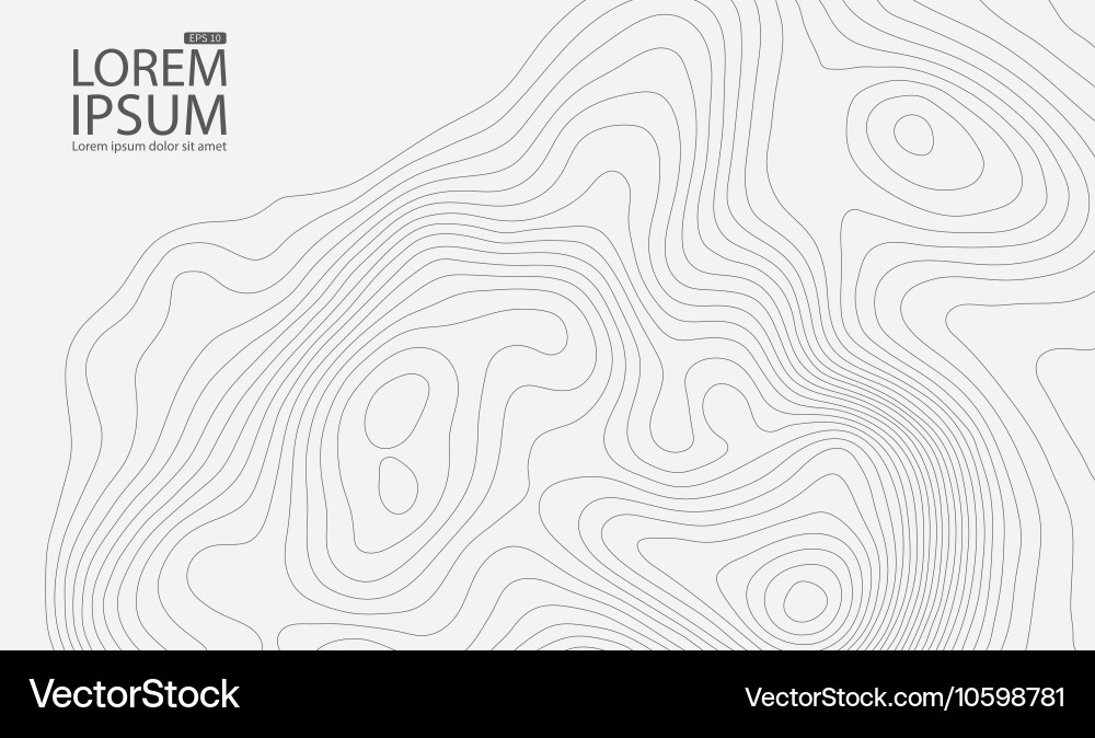 Topographic Map Background Royalty Free Vector Image