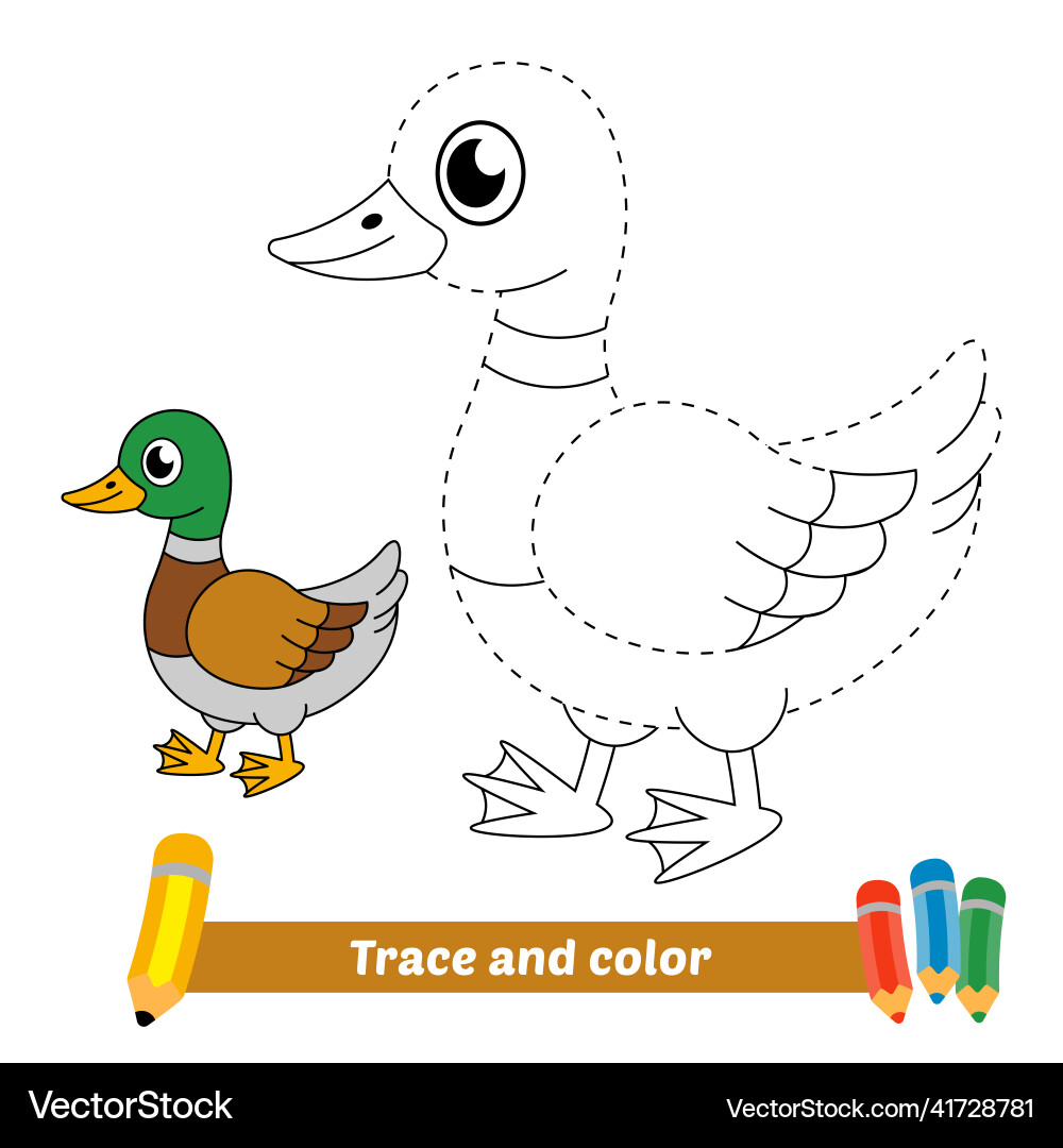 Trace and color for kids duck Royalty Free Vector Image