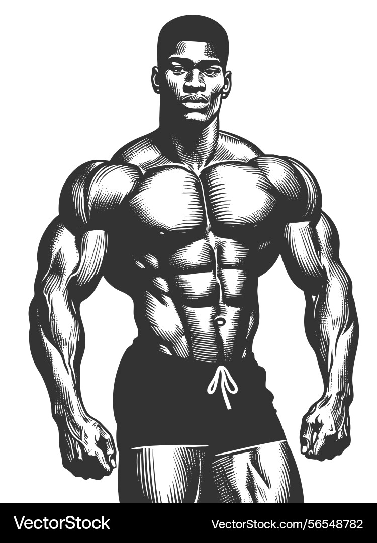 Muscular bodybuilder posing engraving Royalty Free Vector