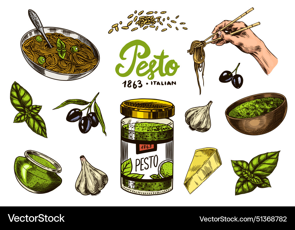 Pesto sauce set basil leaves garlic pine nuts Vector Image