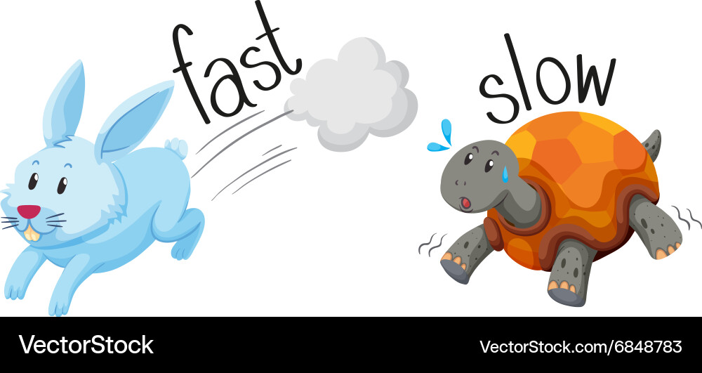 Rabbit and Tortoise Race Royalty Free Vector Image