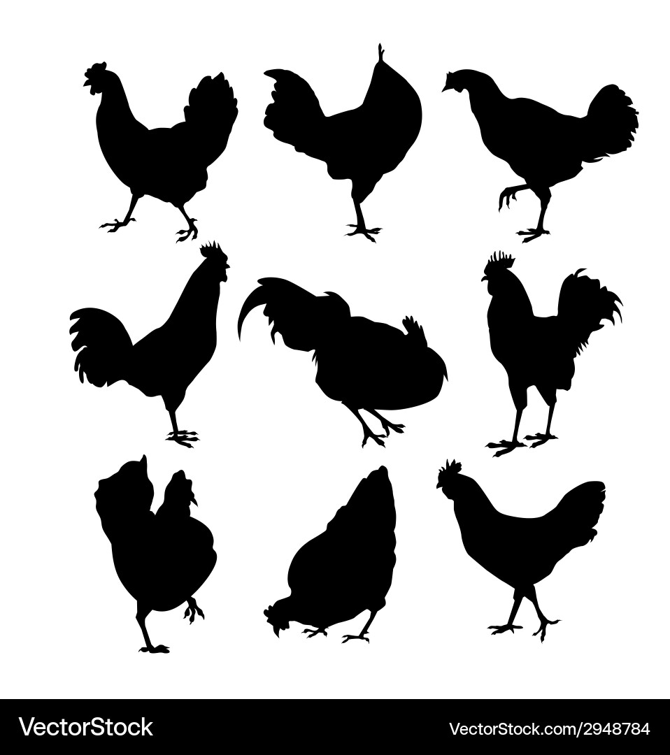 Chicken Silhouettes - Rooster and Hen Royalty Free Vector