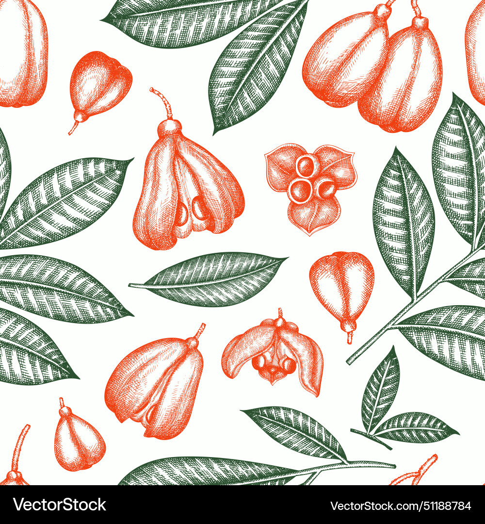 Hand drawn sketch style ackee seamless pattern Vector Image