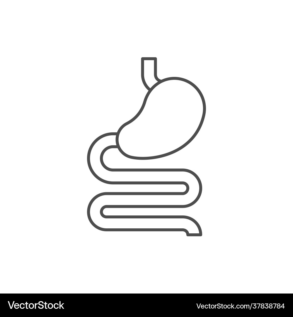 Human Digestive System Icon Royalty Free Vector Image