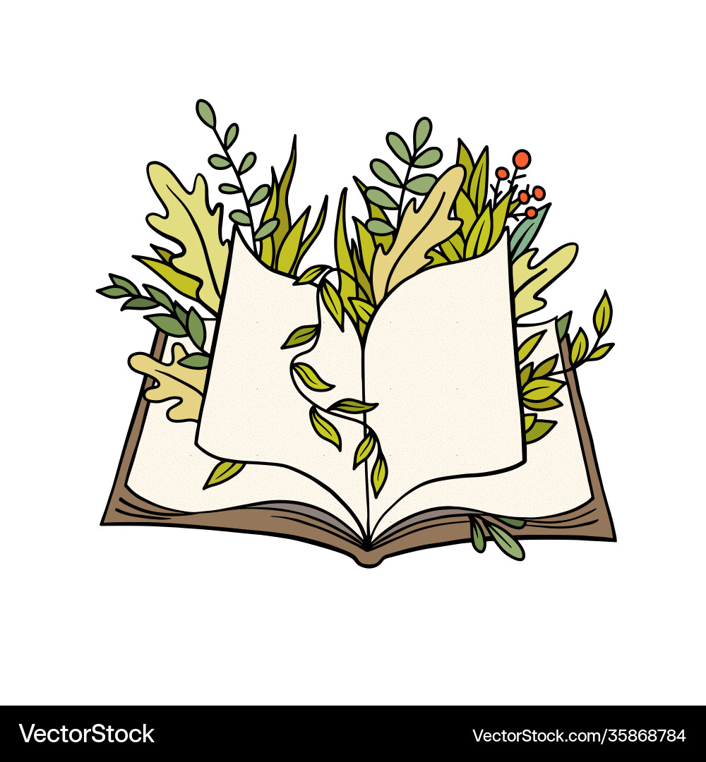 Open book Royalty Free Vector Image - VectorStock
