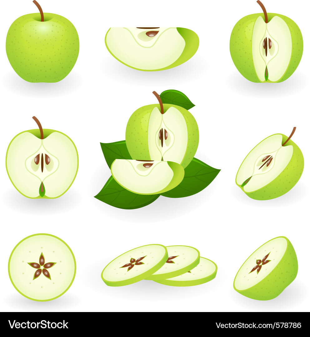 Apple Slice Icons Royalty Free Vector Image - VectorStock