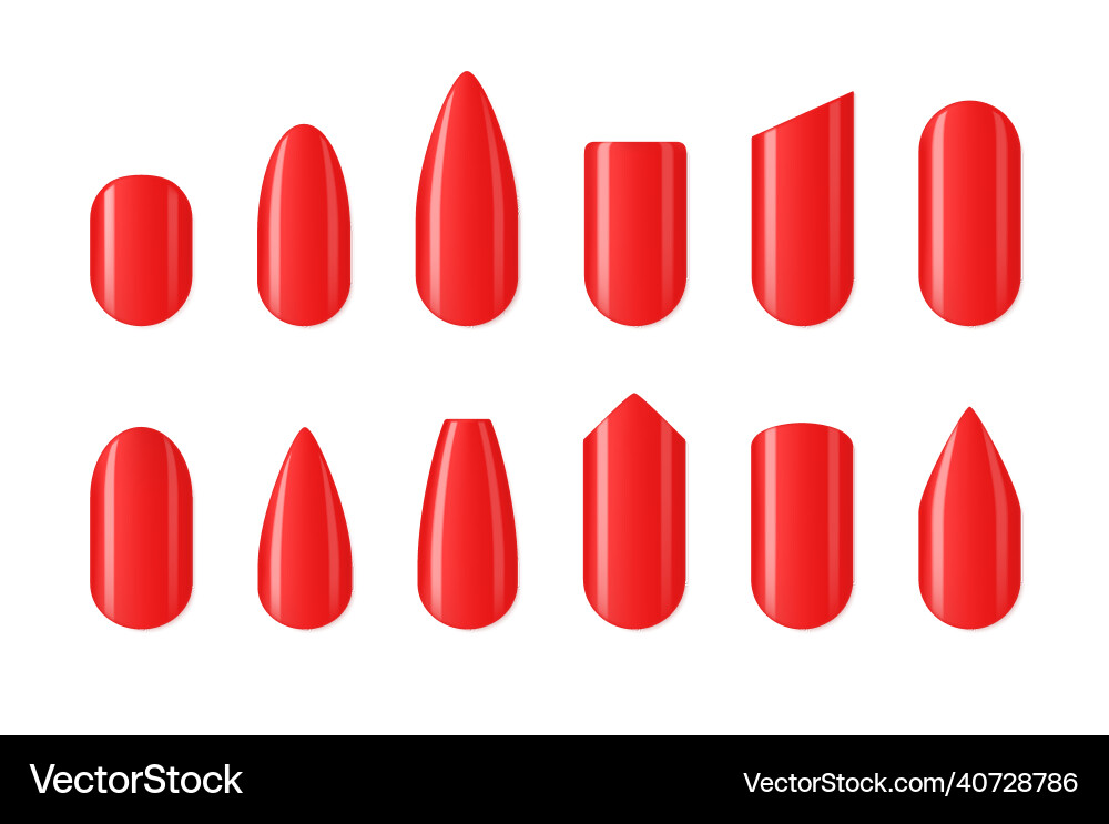 Collection glossy realistic nail different shape Vector Image