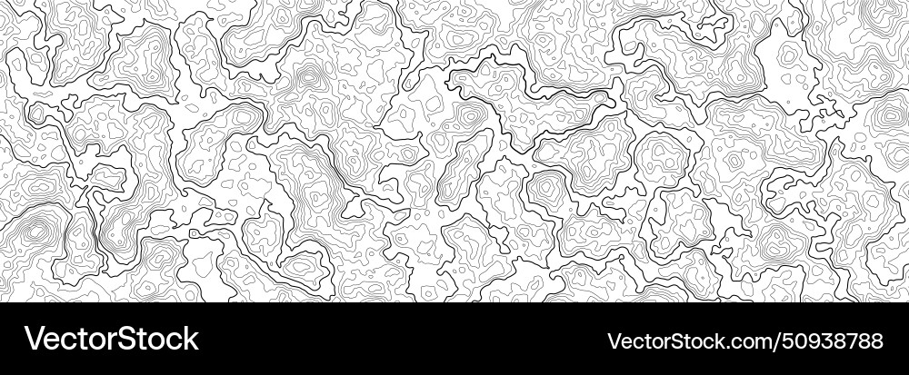 Contour topographic map of heights pattern Vector Image