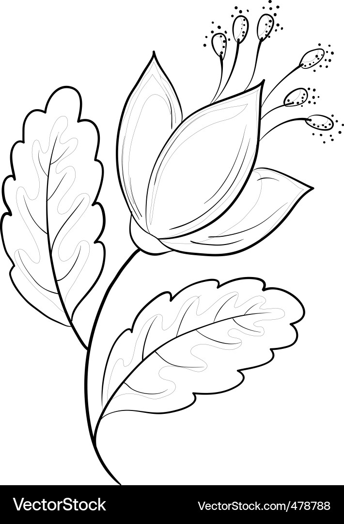 Floral Outline Composition Royalty Free Vector Image