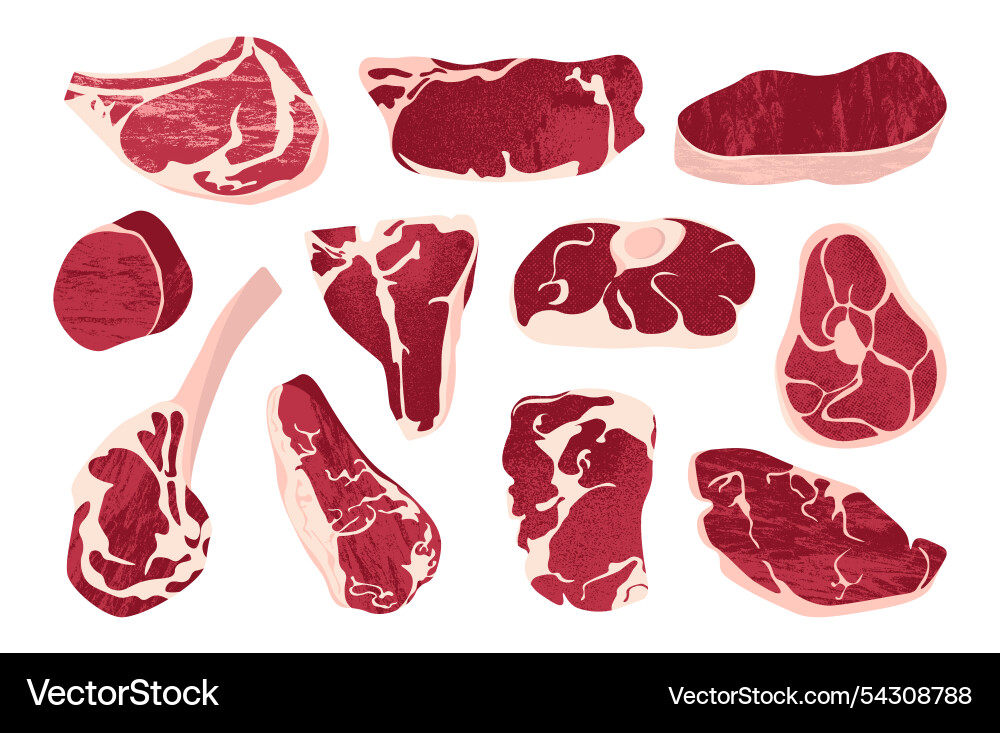 Raw meat elements cartoon fresh beef products Vector Image