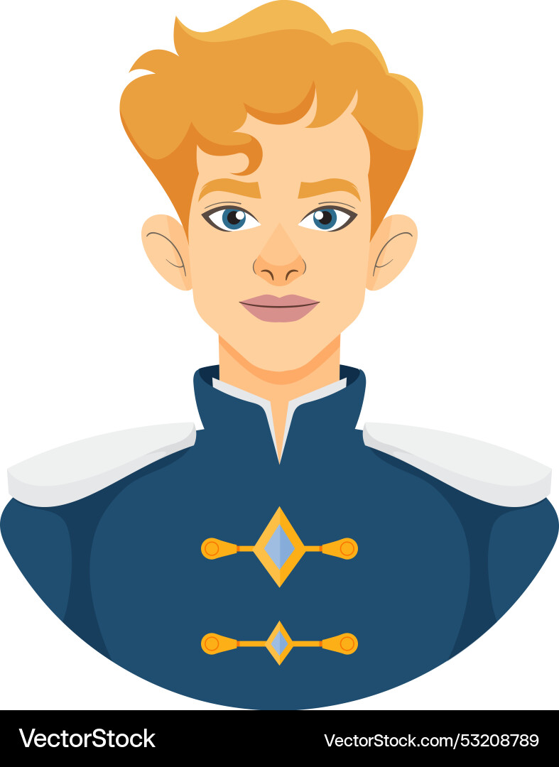 A young prince in uniform Royalty Free Vector Image