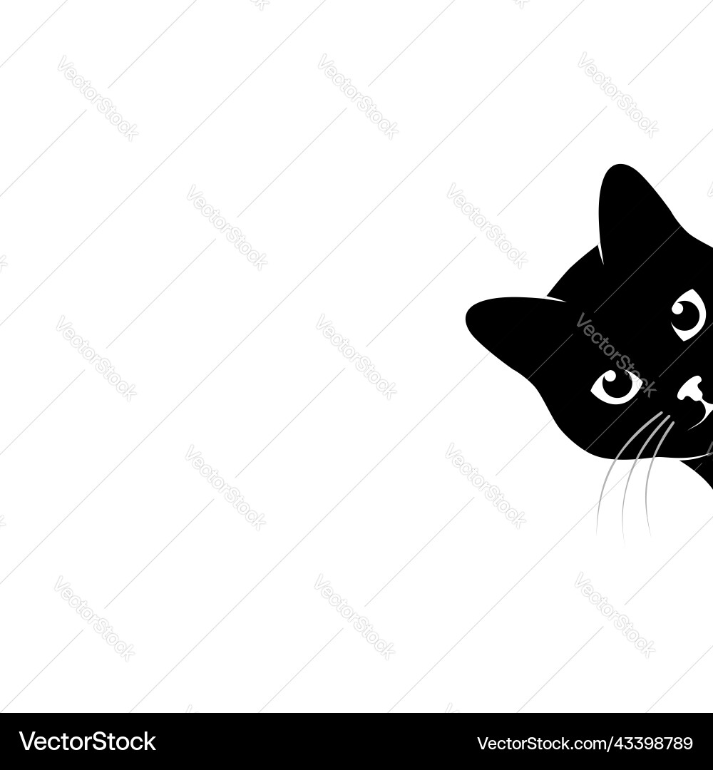Cat face Royalty Free Vector Image - VectorStock