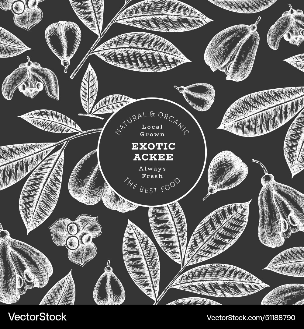 Hand drawn sketch style ackee banner organic Vector Image