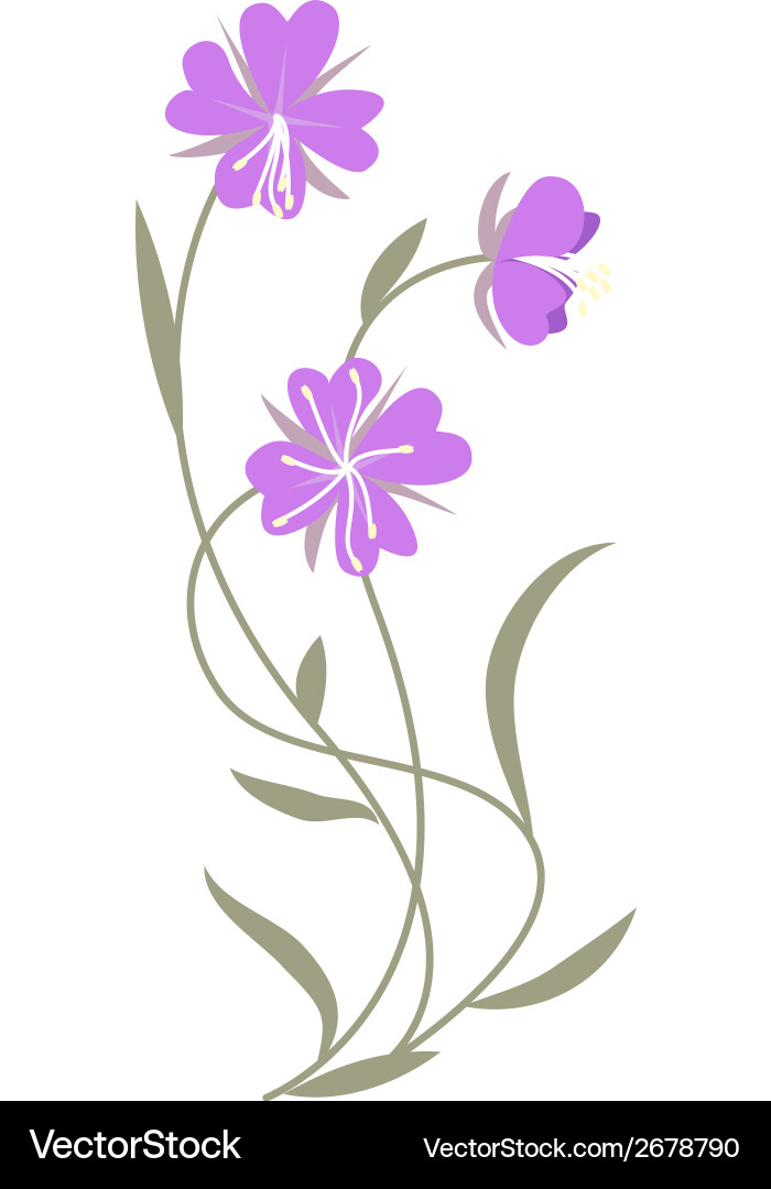 Purple Lilac Flowers Royalty Free Vector Image