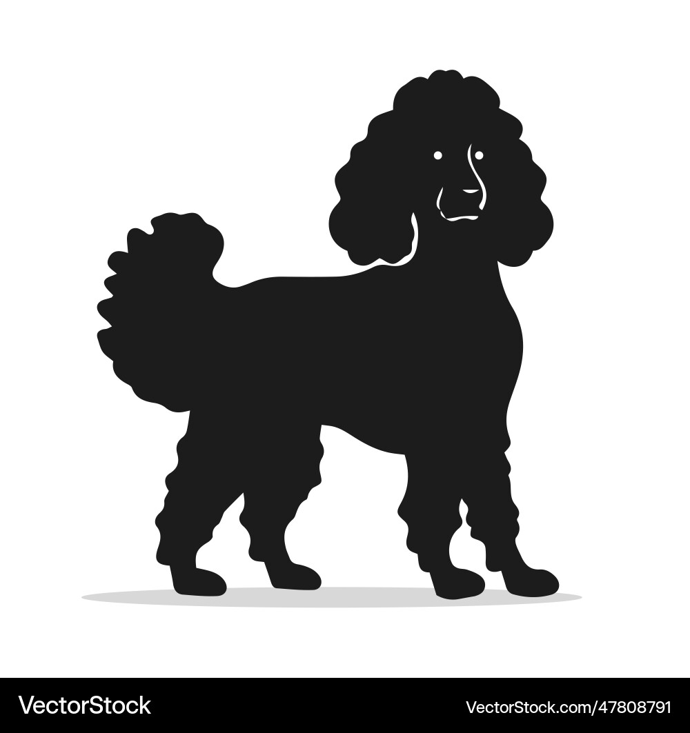 French poodle silhouette Royalty Free Vector Image