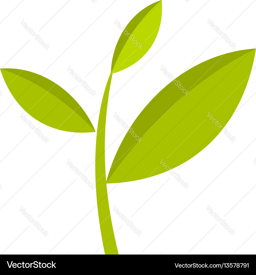Tea plant icon flat style Royalty Free Vector Image