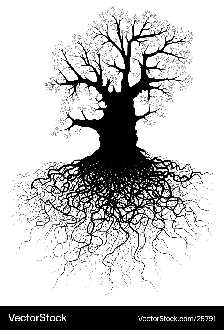 Tree with roots Royalty Free Vector Image - VectorStock